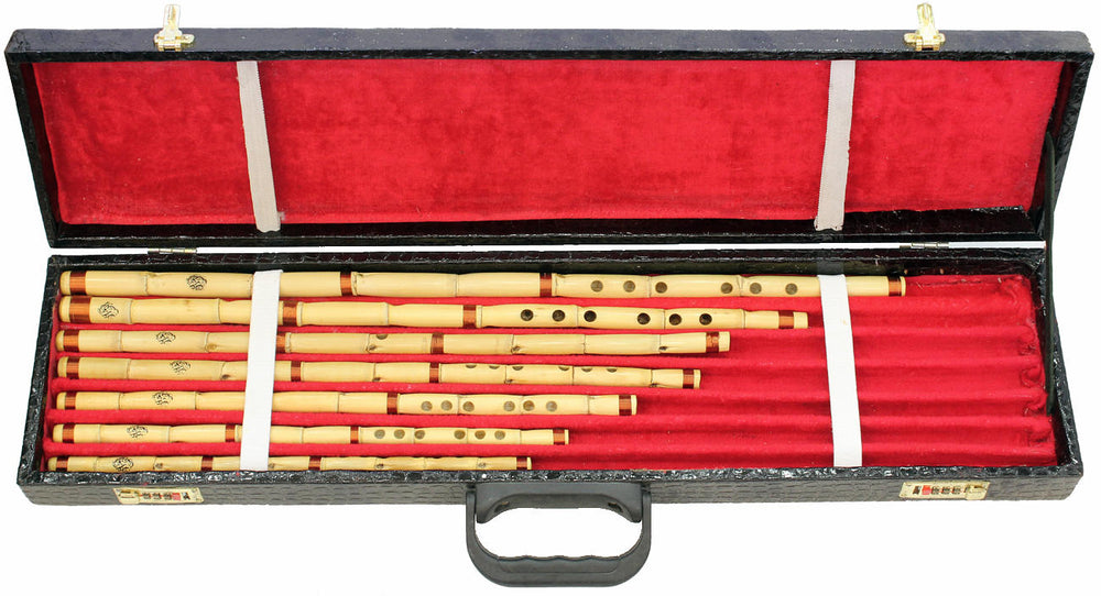 Professional Egyptian Ney Set of 7 with Hard Case